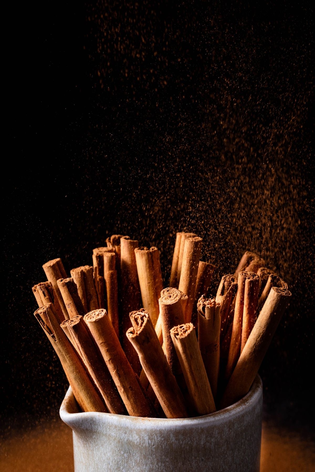 Agro Ventures Exports